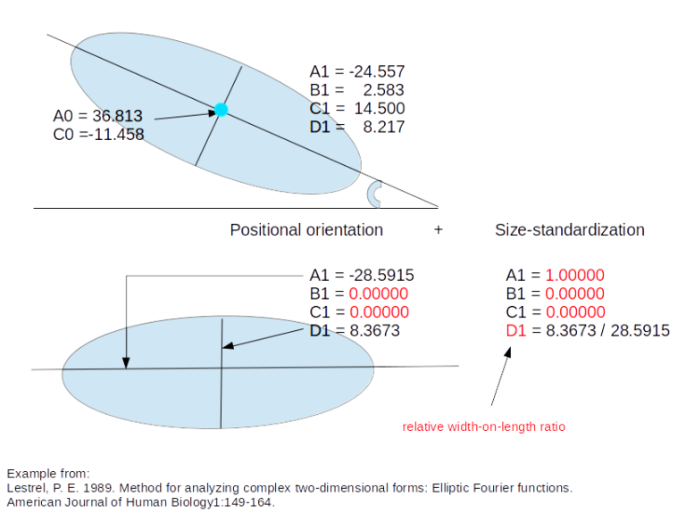 Small XYOM Glossary | XYOM-CLIC
