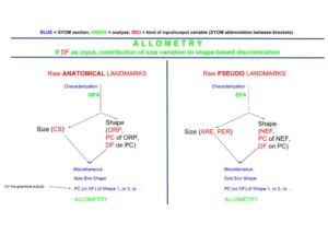 Miscellaneous | XYOM-CLIC